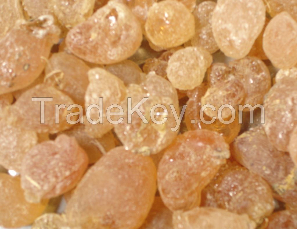 Sudanese GUM ARABIC By IPSUM, UAE