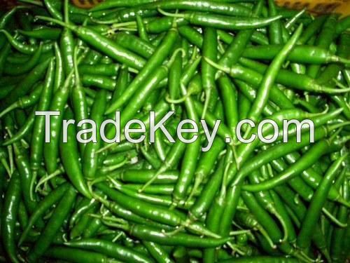 chillies,ramt,leeks_大山谷图库