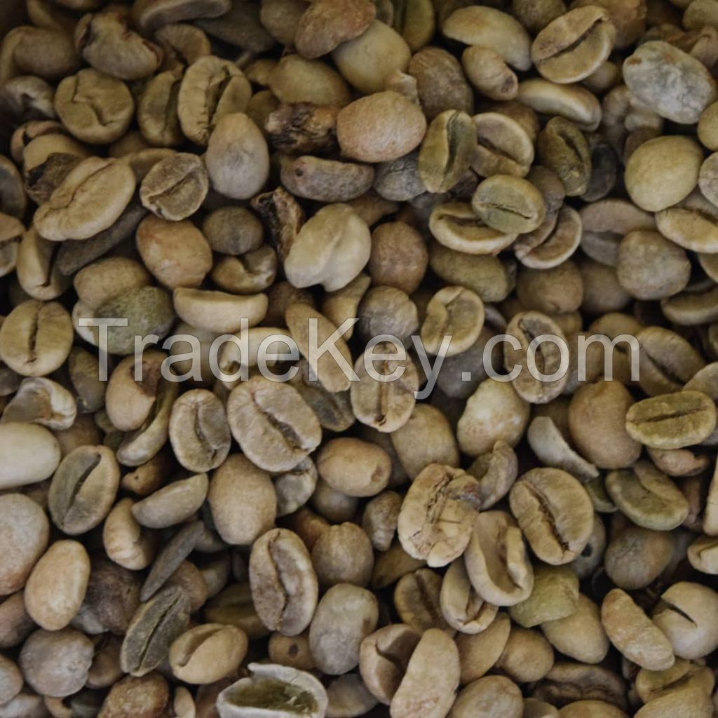 Arabica And Robusta Coffee Beans By Sea Food,