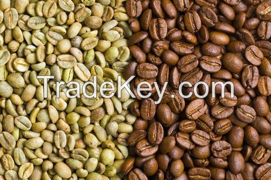 Premium Uganda Robusta Coffee By VERO FOOD INDUSTRIES LTD, Uganda