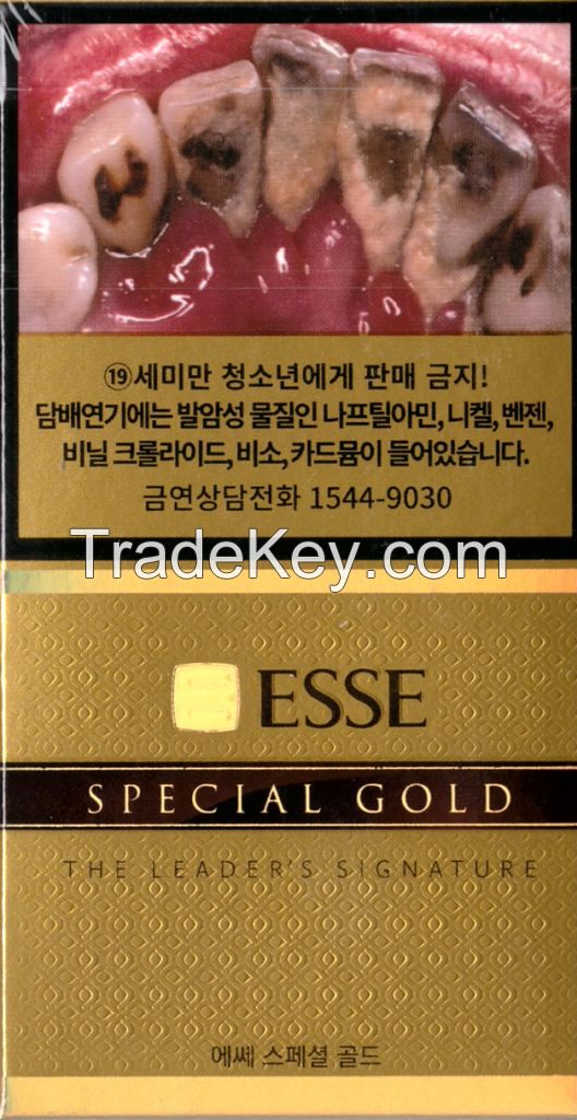 ESSE_Special Gold By KT&G, South Korea