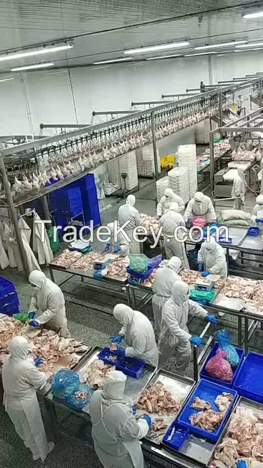frozen boneless halal chicken breast 120gr pack in 10 kg carton ...